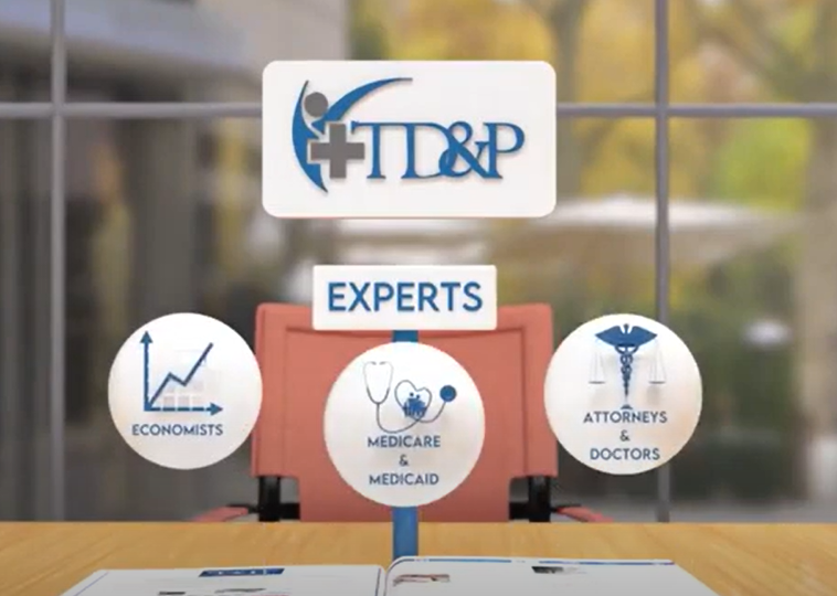 TD&P Services - Economic Damages Analysis